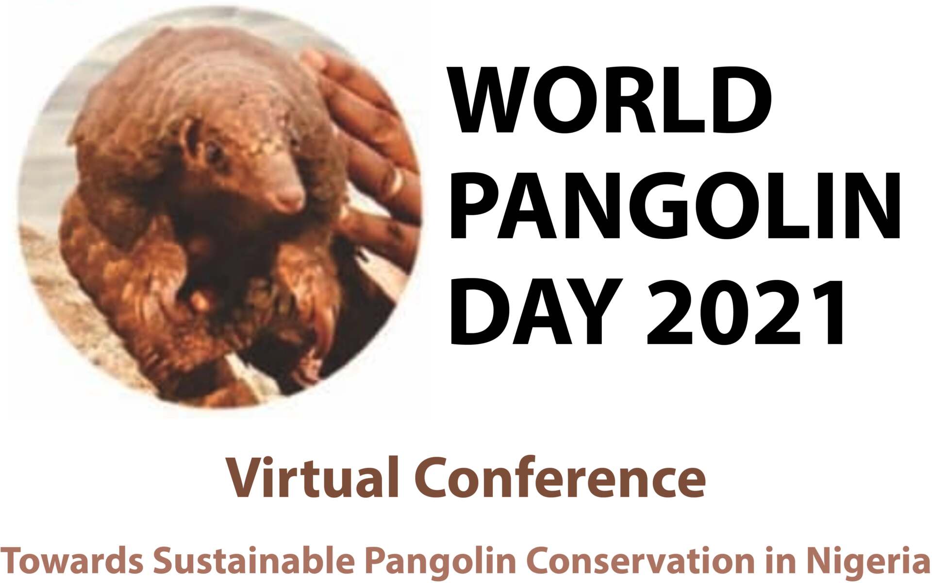 World Pangolin Day 2021 — Congo Basin Institute